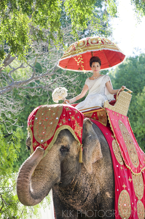 Innovative entry ideas for the Indian Bride | Ride in on an elephant ...